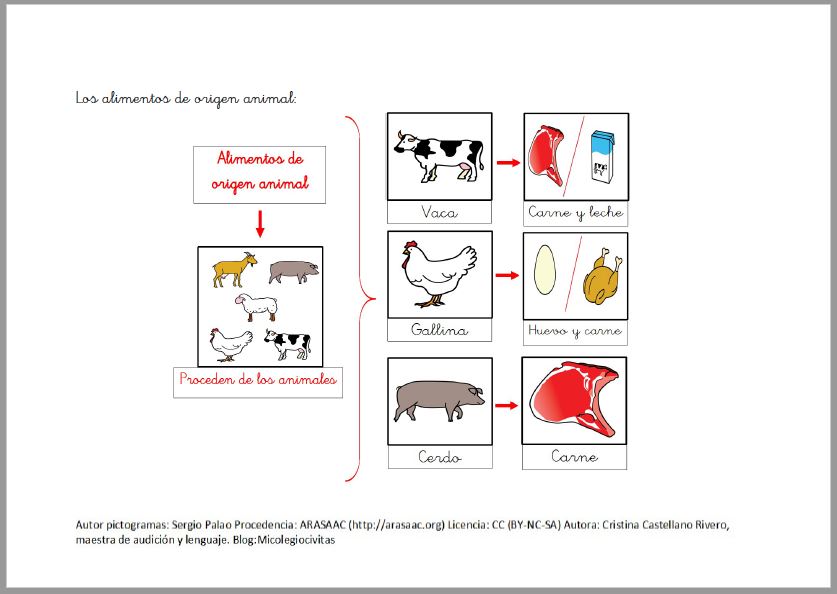 Unidad didáctica - Los alimentos