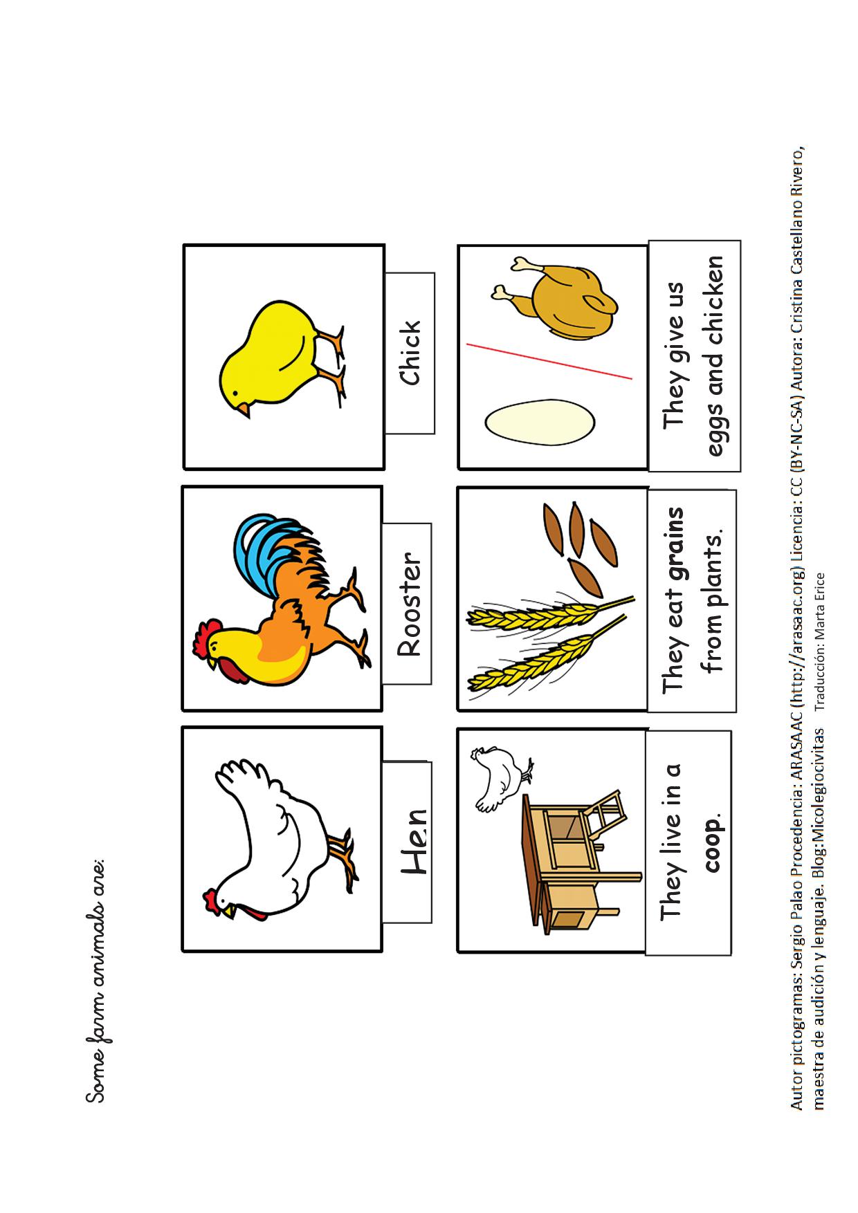 Unidad didáctica - Las plantas