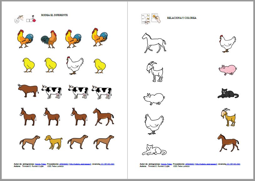 Actividades relacionadas con los animales salvajes y domésticos