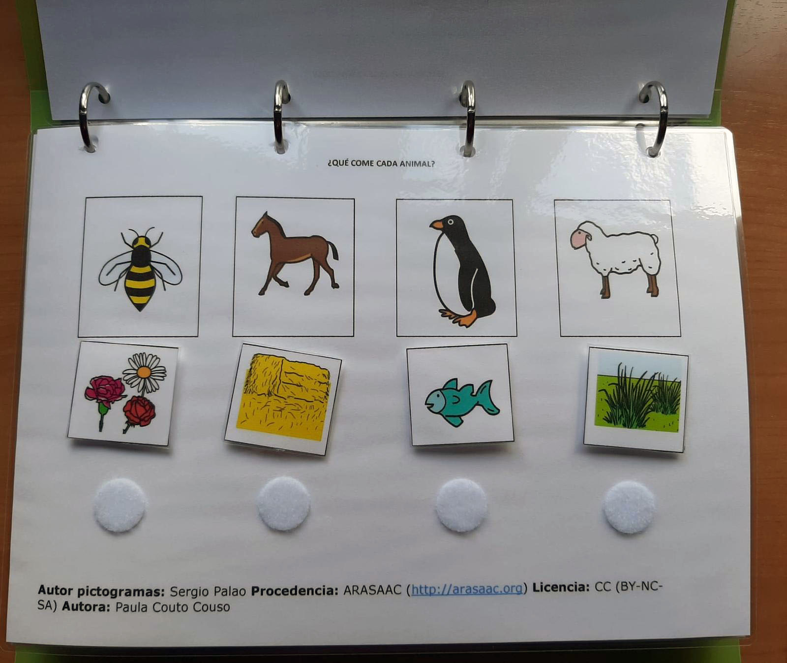 Carpeta TEACCH - Los animales