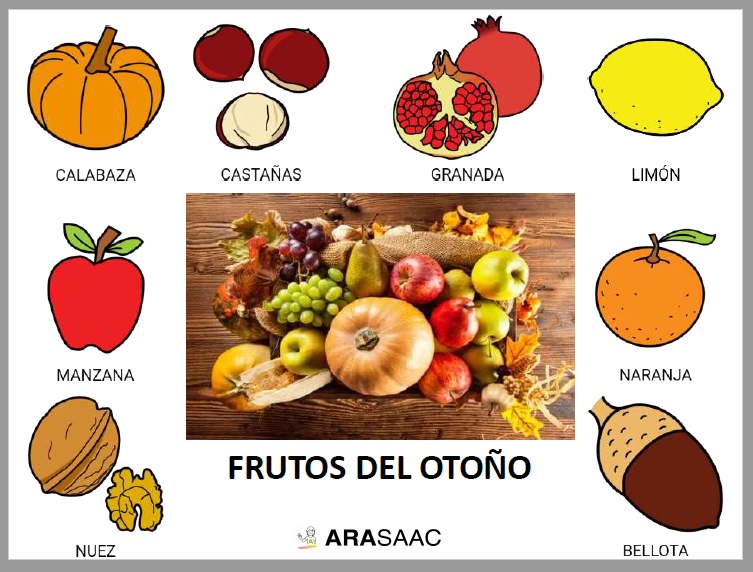 Vocabulario básico del otoño