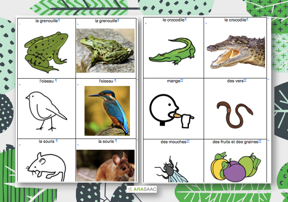 La grenouille à grande bouche - pictos pour raconter le livre animé