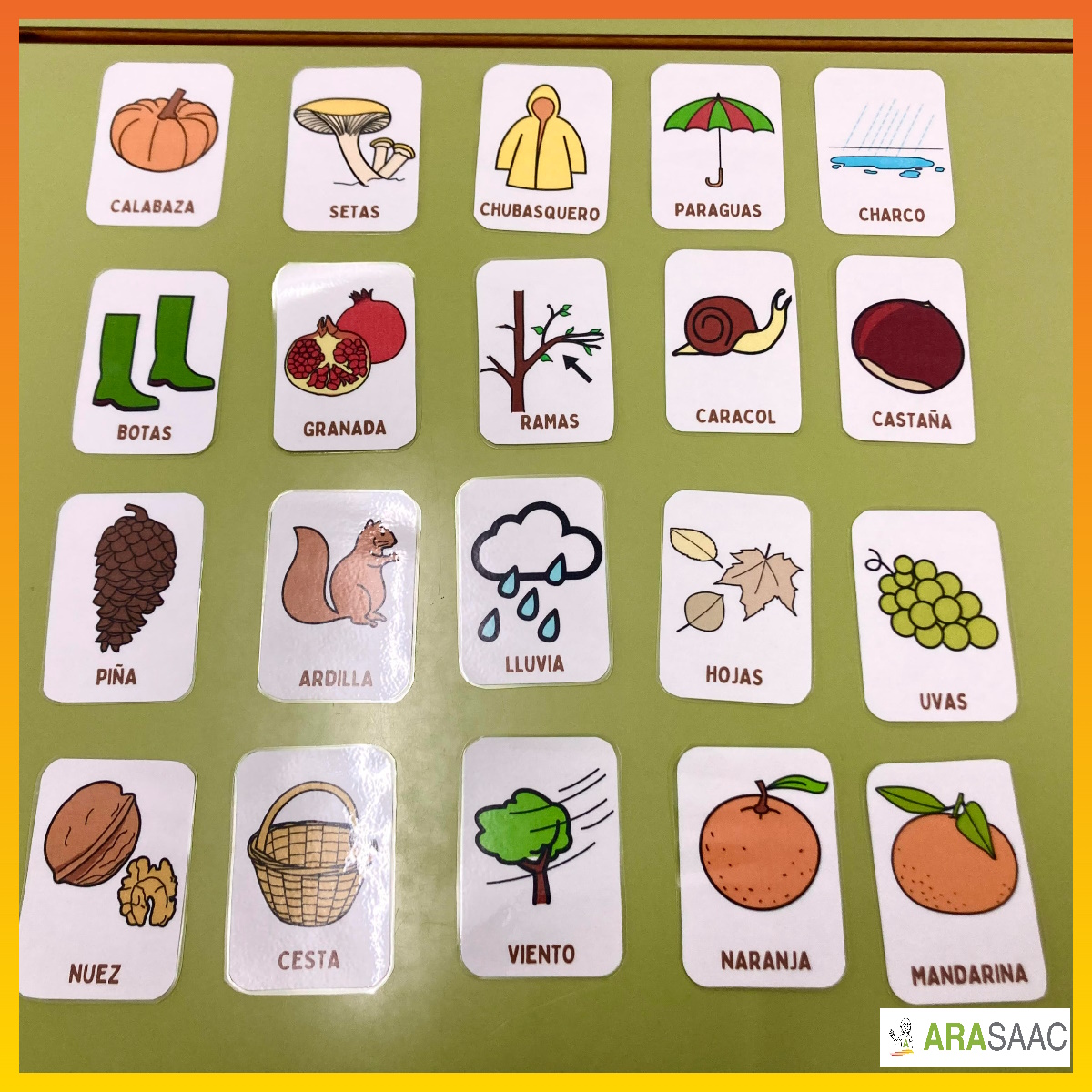 Material TEACCH: Vocabulario otoño.