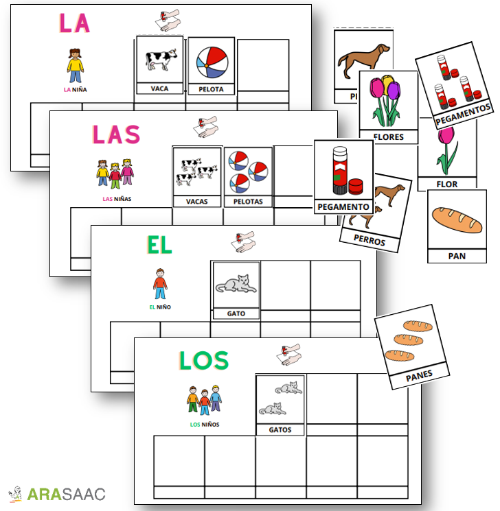 CLASIFICACIÓN DETERMINANTES: ARTÍCULOS DEFINIDOS - Pictofacile