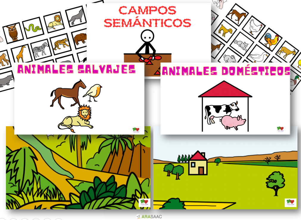 Clasificación-Campos semánticos.