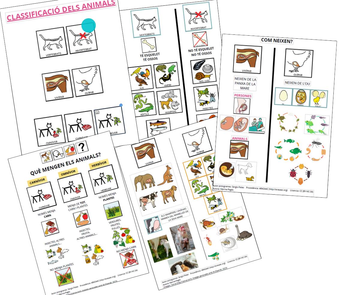 Quadern: Classificació dels animals | ARASAAC: Materiales CAA